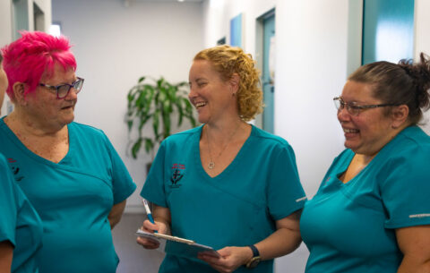 Meet the Team | Slade Point Medical Centre